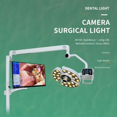 Cina 100000 Illumination Shadowless Operating Lamp  Dental Chair Light With Camera in vendita