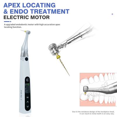 Cina 6Localizatore di apice endomotorio senza fili per il trattamento endodontico del canale radicolare in vendita