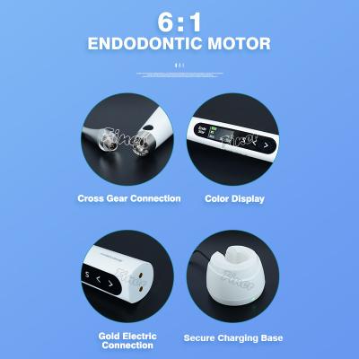 Cina 6Localizatore di apice endomotorio senza fili per il trattamento endodontico del canale radicolare in vendita