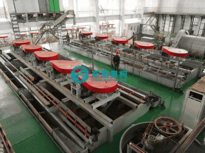 China Custom Froth Flotation Equipment Design For Complex Polymetallic Ores for sale