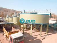 China Gold CIP System with Input Size <540mm for High Gold Recovery Rate Up To 98% and Cyanide Detoxification for sale