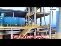 epc gold processing plant 20tpd-300tpd gold cip plant ce iso approval
