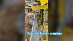 Customized Double Roller Crusher