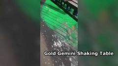 Gold Gemini Shaking Table--