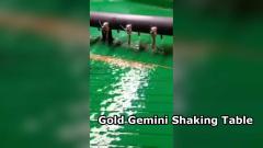 Gold Gemini Shaking Table-