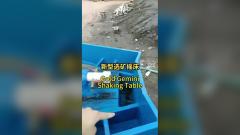 Gold Gemini Shaking Table---