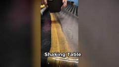 Shaking Table-