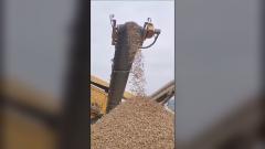 Tracked mobile crushing and screening machine