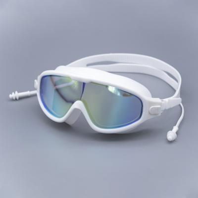 China Clear Vision Fog Free Swimming Goggles Adult Swimming Glasses HD Transparent Lens for sale