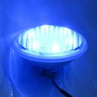China Piscina Pool Remote Control AC12V LED PAR56 Bulb for sale