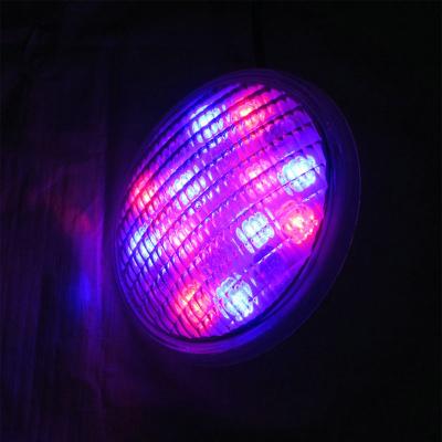 Cina Luce variopinta di vetro dello stagno di nuotata 72W della lampadina RGBW in vendita