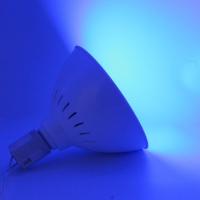 China Pentair Hayward 35W E26 Swim Pool Light for sale