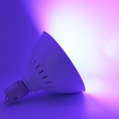 Cina RGB AC230V multicolore 35W Pentair Hayward Light Fixture in vendita