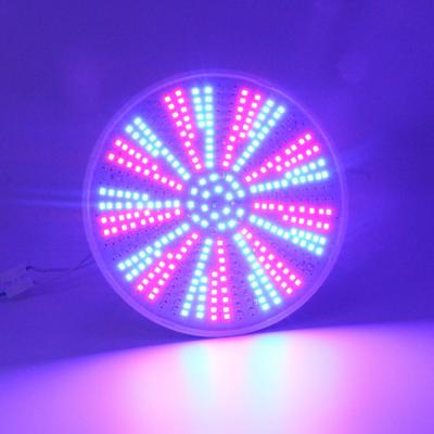 Cina RGB AC230V multicolore 35W Pentair Hayward Light Fixture in vendita