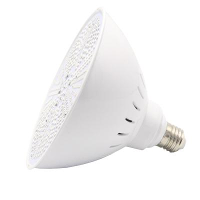 Cina 12V telecomandato E27 Pentair Hayward Light Fixture in vendita