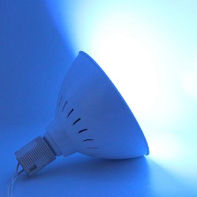 Cina 12V telecomandato E27 Pentair Hayward Light Fixture in vendita