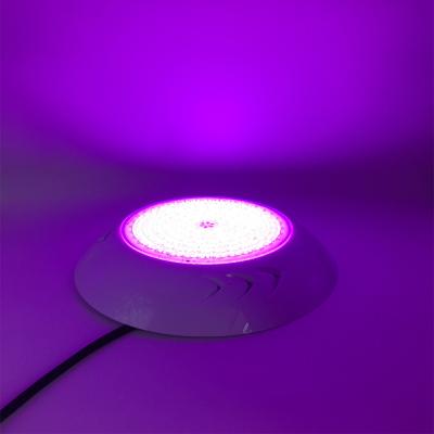 Cina Commutatore sincrono fissato al muro AC12V inserita/disinserita della multi di colore LED luce 24W RGB dello stagno in vendita
