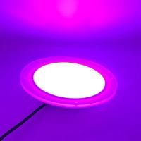 China Underwater Soft Resin Filled DC12V Swim Pool Light for sale