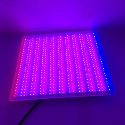 China Colorful RGB Square 10W Pool Flood Lights Te koop