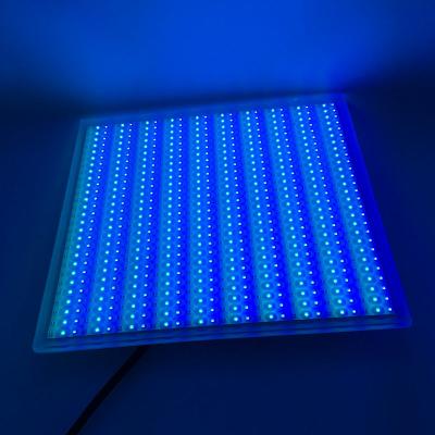China Colorful RGB Square 10W Pool Flood Lights Te koop