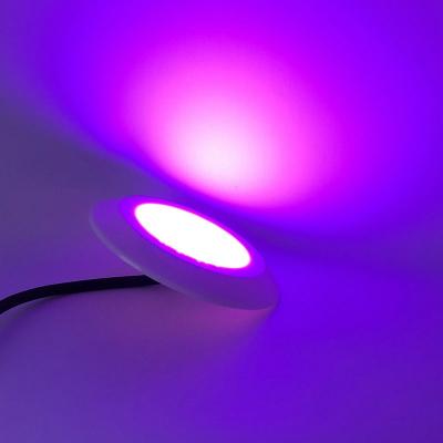 Cina luce bianca calda del punto dello stagno 12W 2700K per la Jacuzzi in vendita