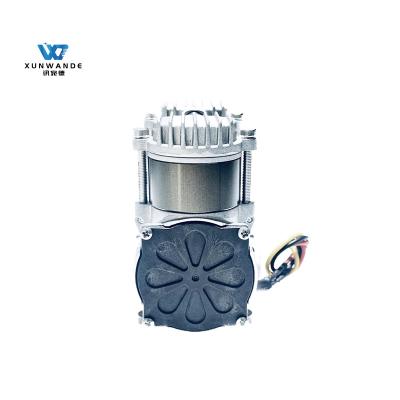 Cina Mini Silent DC12V BLDC Compressore d'aria senza olio per auto Concentratore di ossigeno in vendita
