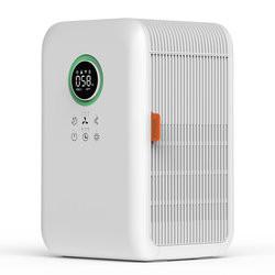 Cina HOMEFISH Filtro Hepa Purificatore d' aria per uso domestico Umidificatore ionico 400ml in vendita