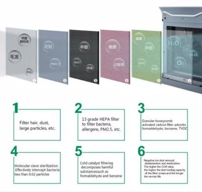 Cina HOMEFISH Sterilizzazione UV Pulizzatore d'aria a ioni negativi 220V 250CFM in vendita