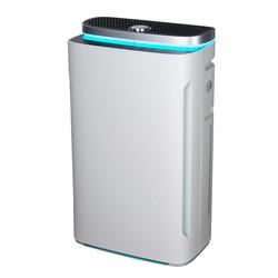 China HOMEFISH OEM Air Purifier Large Ionizer Carbon Washer Pembersih Udara Large Room Best H13 Hepa Filter Smart Wifi Air Purifier for sale