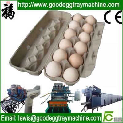 China Paper Egg Holder making machinery(FZ-ZMW-4) for sale