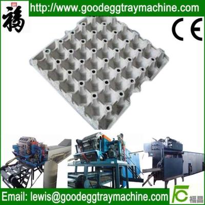 China Egg tray plant(FC-ZMW-2) for sale
