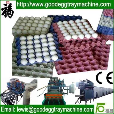 China Egg tray plant(FC-ZMG3-24) for sale