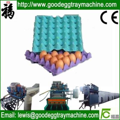 China Egg tray plant(FC-ZMG6-48) for sale