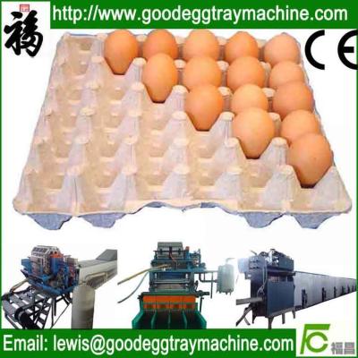 China Automatic Paper Pulp Molded Egg Tray Machine(FC-ZMG6-48) for sale