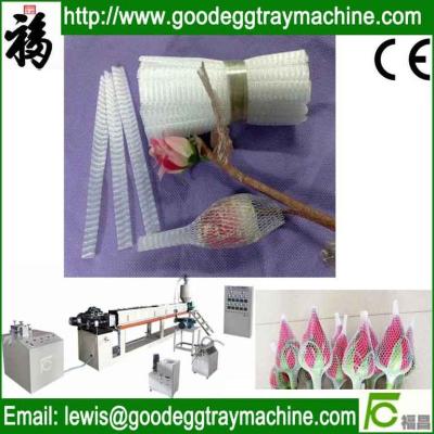China EPE Foam plastic roses net Extruder(FCEPEW-75) for sale