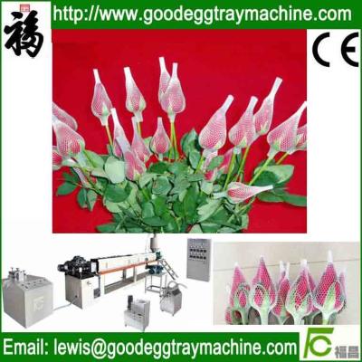 China Flower packaging net Extruder(FCEPEW-70) for sale