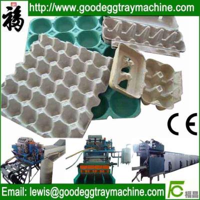 China Egg packaging cartons tray machine for sale