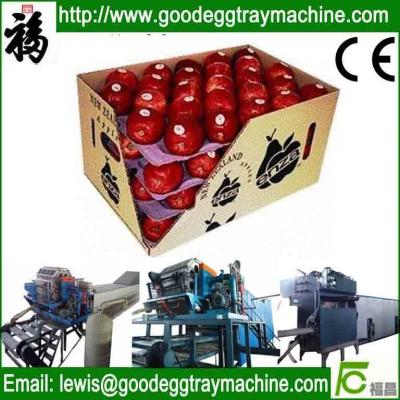 China apple fruit tray processing machinery for sale