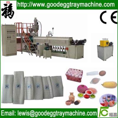 China EPE Foam Net Extrusion Line for sale