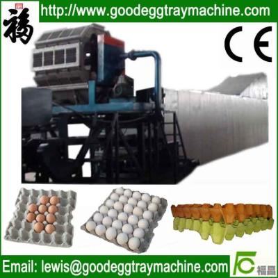 China Rotary Egg Tray Making Machinery for sale