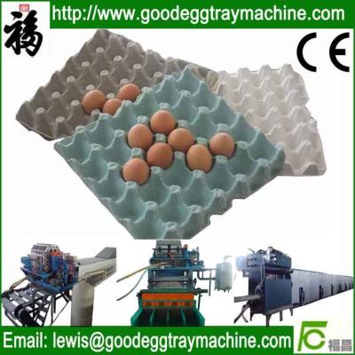China Egg Tray Equipment for sale