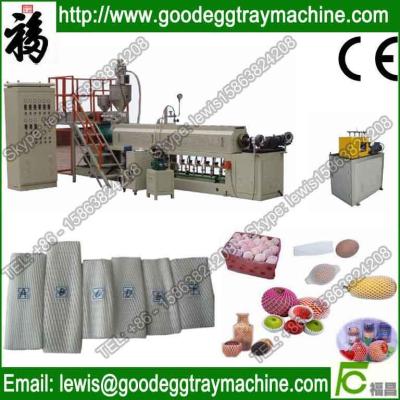 China EPE Foam Fruit Net Extruder (FCEPEW-75 ) for sale