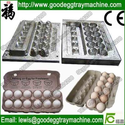 China Practical paper egg tray moulds with CE approval for sale