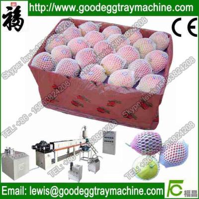 China PE Physical Foamed Net Machine(FCEPEW-70) for sale