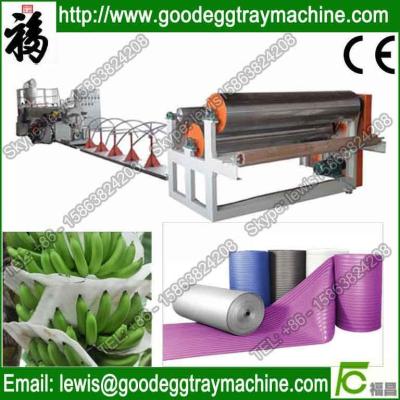 China New-Style Polyethylene Foaming Sheet Extruder for sale