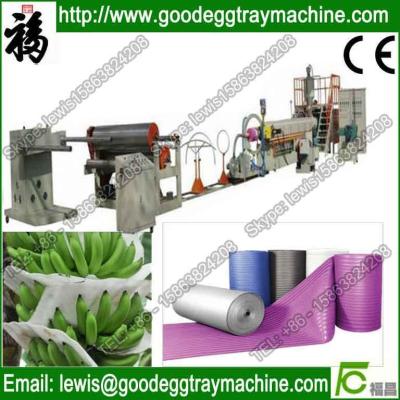 China Location fix pacakge EPE Foam Sheet Extrusion Plant(FCFPM-170) for sale