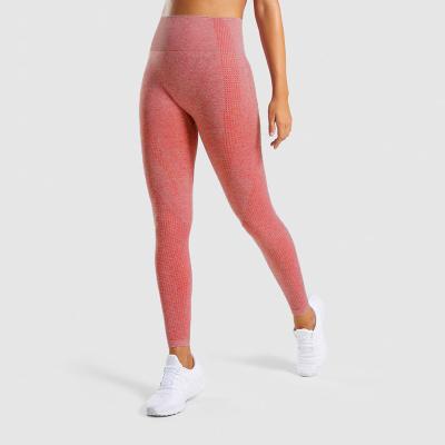 China De in te ademen Gymnastiekyoga hijgt Hoge Naadloze de Gymnastiekbeenkappen van Waisted voor Vrouwen Geschiktheid/het Lopen Te koop
