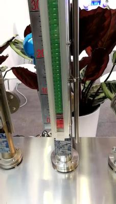 중국 옆을 위한 암모니아 레벨 표시기는 증가했습니다 판매용