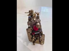 Perkins 1104C Diesel Pump Assembly, Bosch 0460424255 High-Precision Fuel Injection