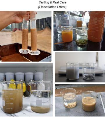 Cina Flocculante PAM Polyacrylamide Cationic Anionic Nonionic PAM Water Treatment Chemicals in vendita